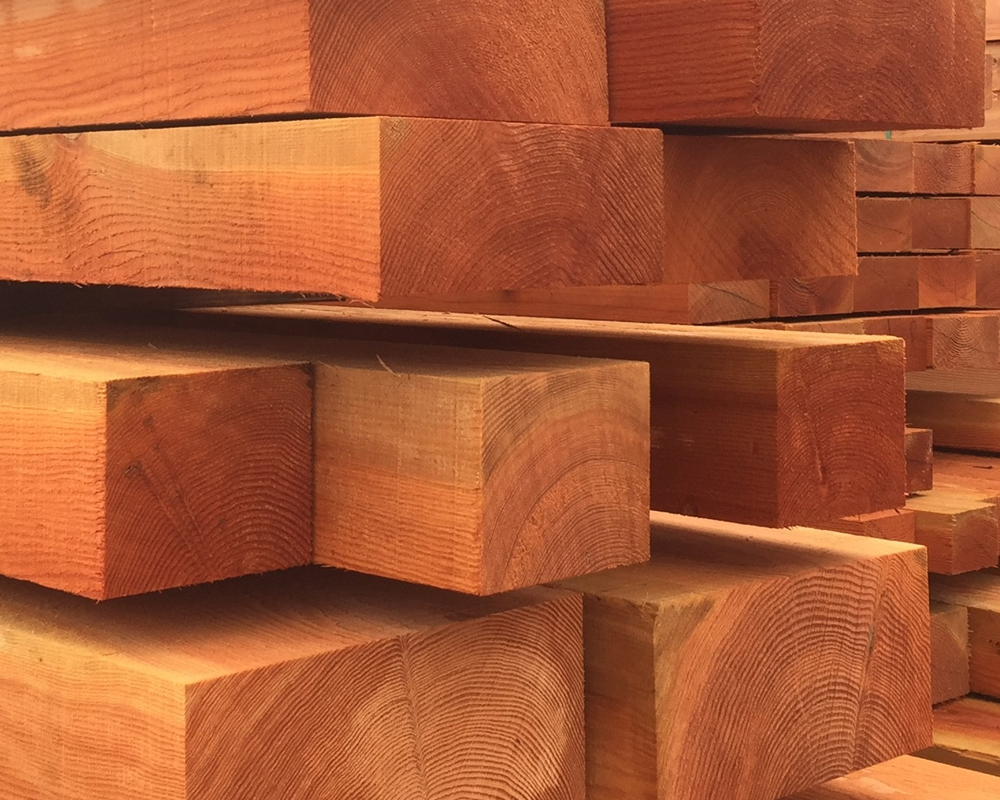 Timbers